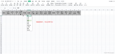 Easyexcel导出带下拉框选项excel模板（解决下拉框超50个的问题）easyexcel导出模板实现动态下拉选 下拉选的值和展示的不