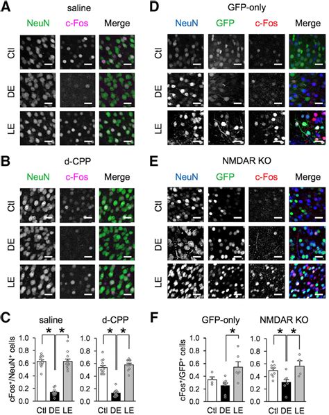 Comparison Of Neuronal Activity Measured With C Fos Expression A C Download Scientific