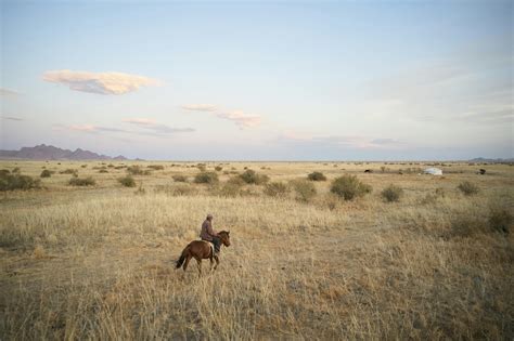 Mongolia Photos, Download The BEST Free Mongolia Stock Photos & HD Images