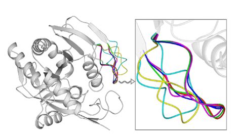 Five Randomly Selected Reconstructed Loop Models For Protein 1cb0