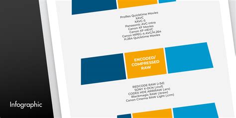 infographic cpu gpu requirements by camera format pomfort