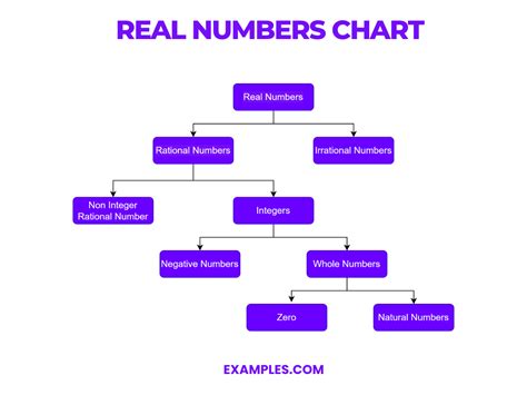 Real Numbers Chart Classification Of Numbers