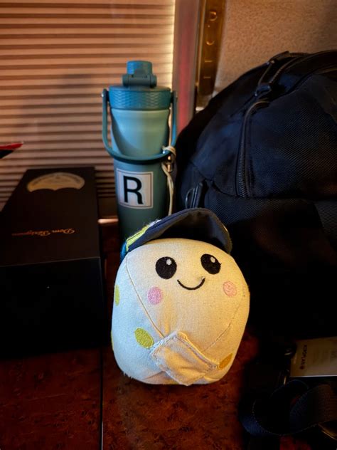 Rise Artemis Ii Plush Toy Moon Mascot For Nasa Has Been To Space