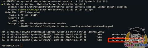 电脑技术：hysteria2节点搭建【转载】 Taholab
