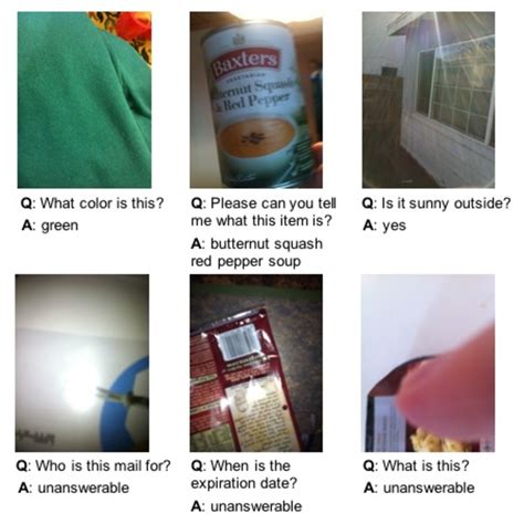 Vizwiz 2023 Edition Kaggle