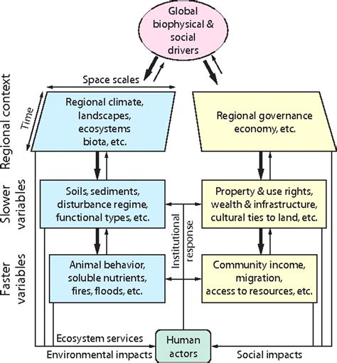 Science For Managing Ecosystem Services Beyond The Millennium