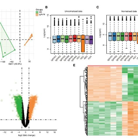 Identification Of Differentially Expressed Genes Between Four Healthy