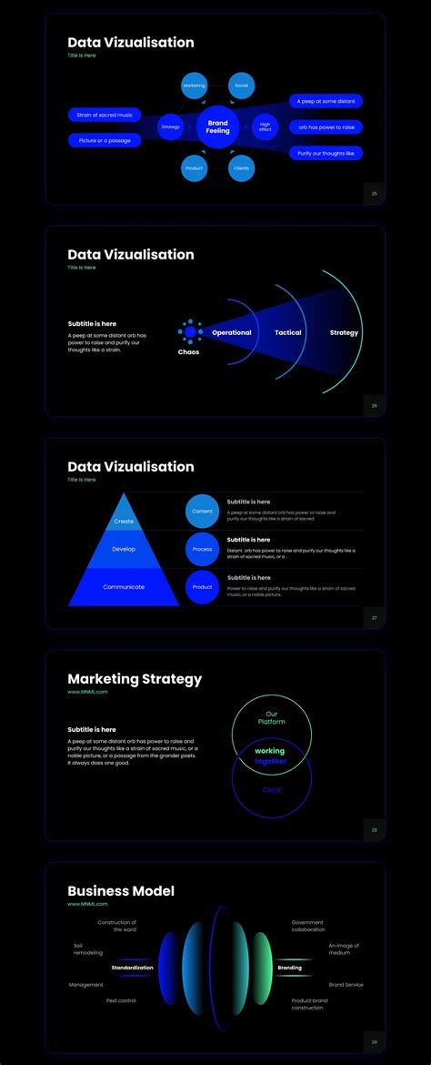 Data Visualization Presentation Behance