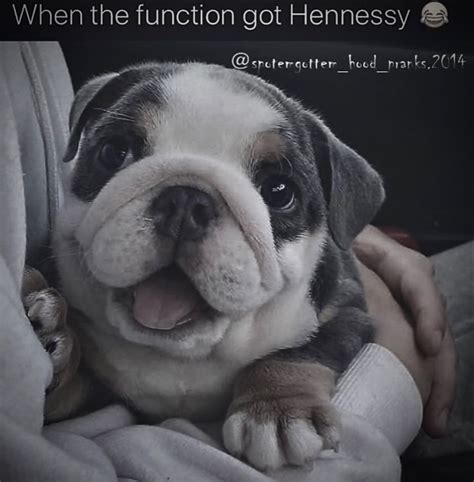 When The Function Got Hennessy