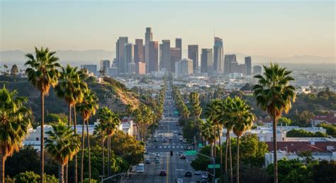 Los Angeles Skyline View From Palm Tree Lined Road Stunning Panoramic