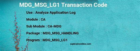 Mdg Msg Lg Sap Tcode For Analyze Application Log