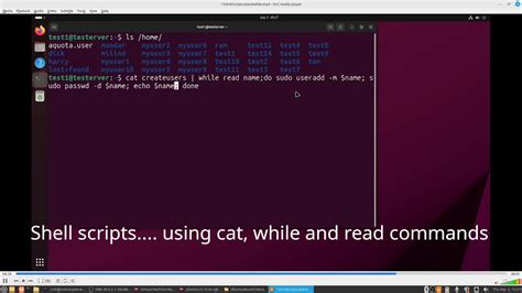 Shell Script With A While Loop Youtube