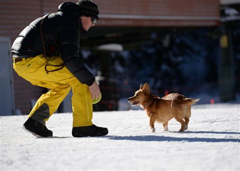 Telluride Audrey Andersen