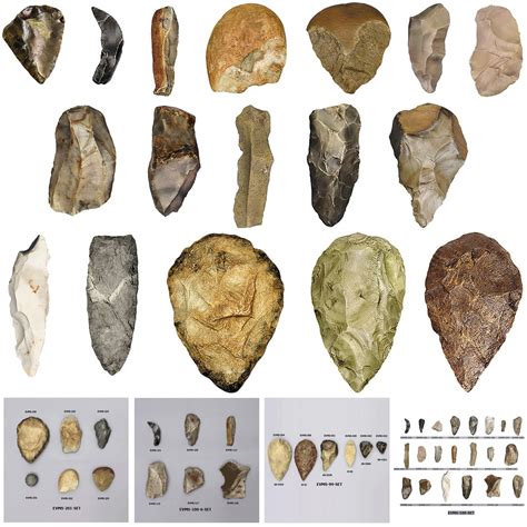 Buy High Quality Rock Tools Fossil Hominids Crescendo