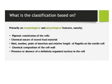 Solution 1 Algae Detailed Classification Studypool