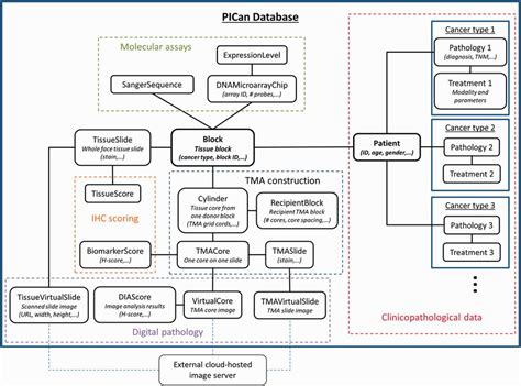 Schematic Of The Internal Table Structure Of Picans Relational Download Scientific Diagram
