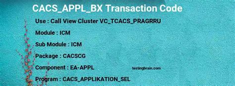 CACS APPL BX SAP Tcode For Call View Cluster VC TCACS PRAGRRU