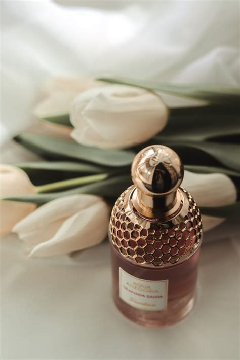 Perfumy z bergamotką – TOP 5 zapachów dla każdej z nas - QualityMagazyn.pl