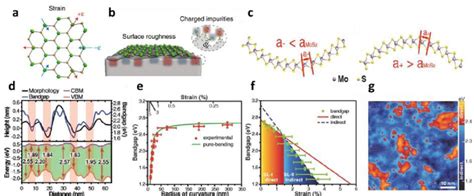 Substrate Induced Strain In Mos2 A Schematic Illustration Of 1l Mos2 Download Scientific