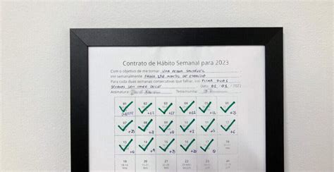 como acompanhar metas de tempo no contrato de hábito semanal daniel