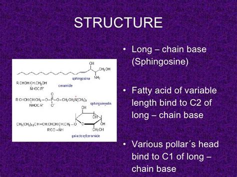 Sphingolipids