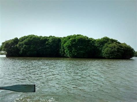 Vandayar Hotel Room Service Pictures And Reviews Tripadvisor