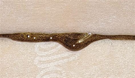 Raspberry Sherbert X Raspberry Boogie Tiki Madman Mosca Negra Collab R Rosin