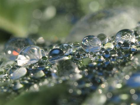 Eis Zu Wasser Forum Für Naturfotografen