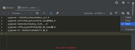 数据库操作 查询结果格式化 PyCharm 中文指南 Win版 documentation