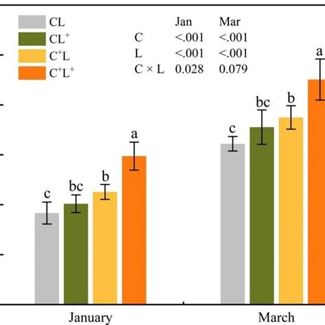 Leaf Area Index Lai Of Strawberry Plants At Different Measurement Download Scientific Diagram