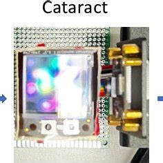 Our Physical Evaluation Setup Consisting Of A Raspberry Pi Victim Download Scientific Diagram