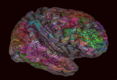 Researchers Create Detailed ‘semantic Atlas Of The Mind Scinews