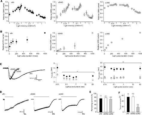Figure 2 From Vertebrate Cone Opsins Enable Sustained And Highly