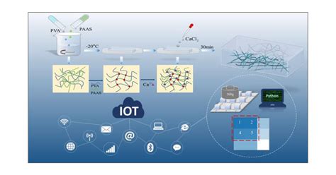 High Performance Conductive Hydrogel For Strain Sensing Applications And Digital Image Mapping