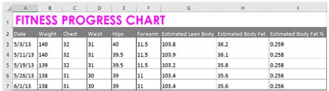 Formatting Cells How To Become An Expert Of Ms Excel Class 6 Pdf