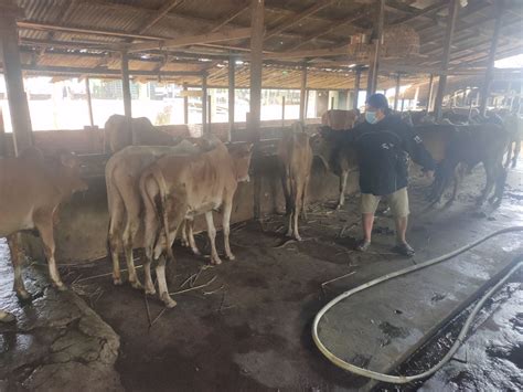 ကျိုက်ထိုမြို့နယ်၌ တိရစ္ဆာန်မှတစ်ဆင့်ကူးစက်ရောဂါ ကာကွယ်ထိန်းချုပ်ခြင