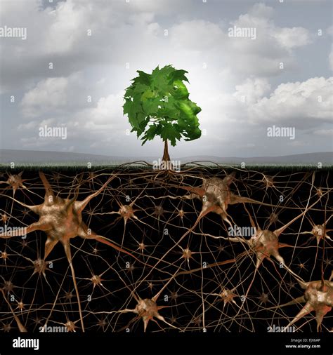 Neuron Brain Connection Concept As A Tree In A Human Head Form With