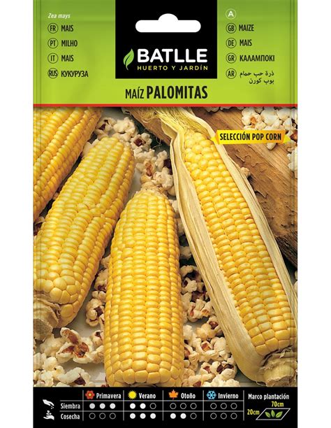 Semilla Maiz De Palomitas Pop Corn