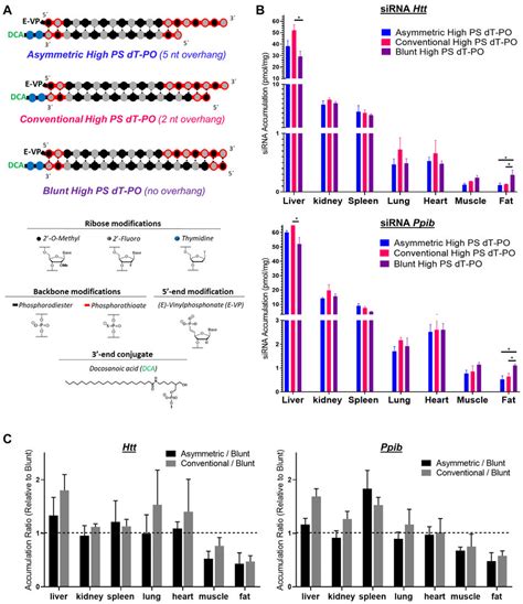 Sirna Structure And Presence Of The Ps Modified Overhang Does Not Download Scientific Diagram