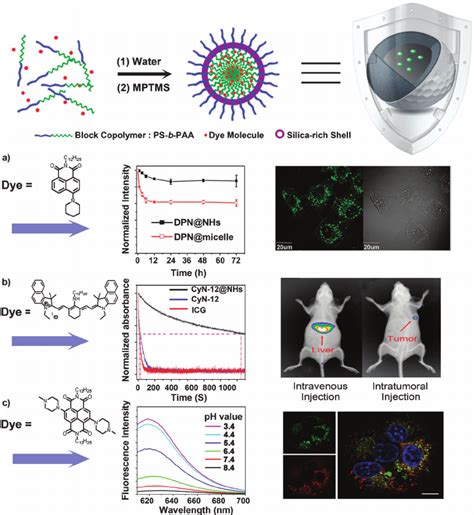 Schematic Diagram Of Nanoparticle Encapsulating Dyes Based On Diblock Download Scientific