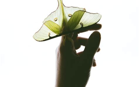 Sex And Cash Theory Work Purpose Sustainability Sovereignty