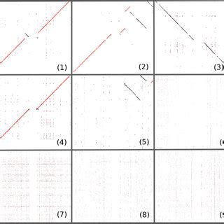 Separate Dotplot Like Representations Of Human Chromosome X Axis Download Scientific