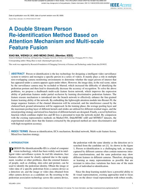 pdf a double stream person re identification method based on