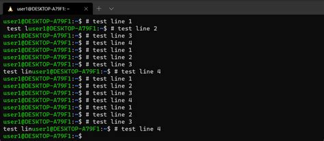 Can T Echo Correctly When Pasting Multiple Lines To WSL Issue Microsoft WSL GitHub