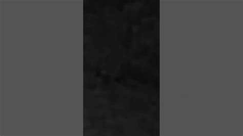dev youtube