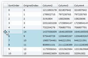 DataGrid With Movable Rows CodeProject