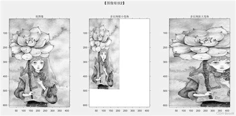 【数字图像处理】【matlab】【作业六】几何变换（平移、缩放、旋转、镜像、转置等） matlab平移后图像与原图像的距离 csdn博客