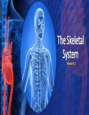 Module Skeletal System Pdf The Skeletal System Module Figure Major Bones Of The
