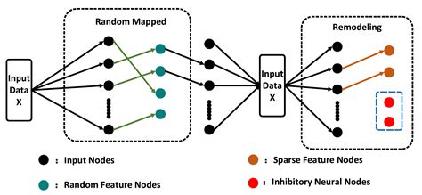 An Incremental Broad Learning System Based Approach For Tremor Attenuation For Robot Tele Operation