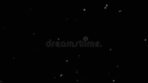 Dust Overlay With Scratches Particle Background Animation Stock Dust Overlay With Scratches Particle Background Animation Stock
